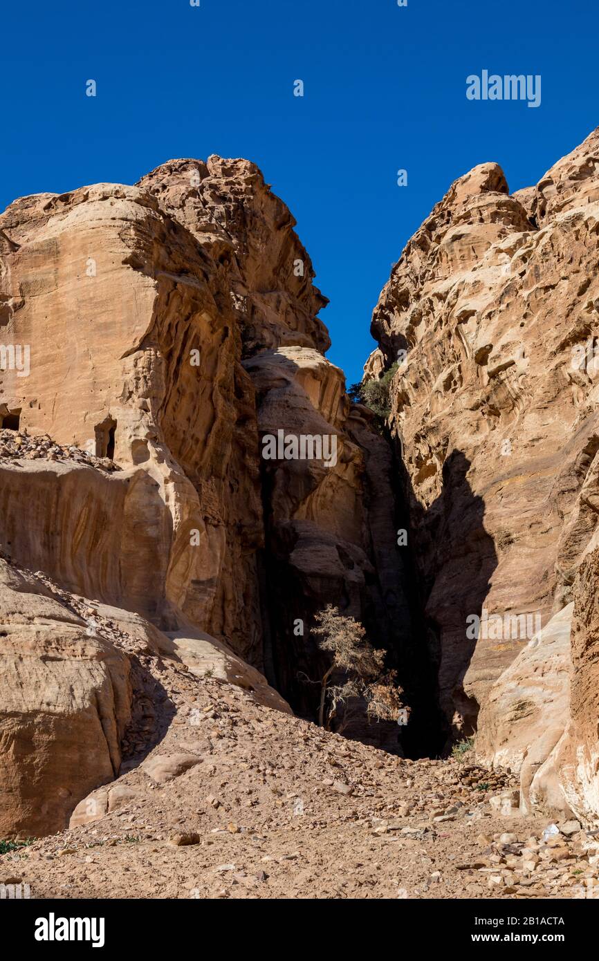 Lonely tree growing between cliffs near the scenery Street of Facades ...