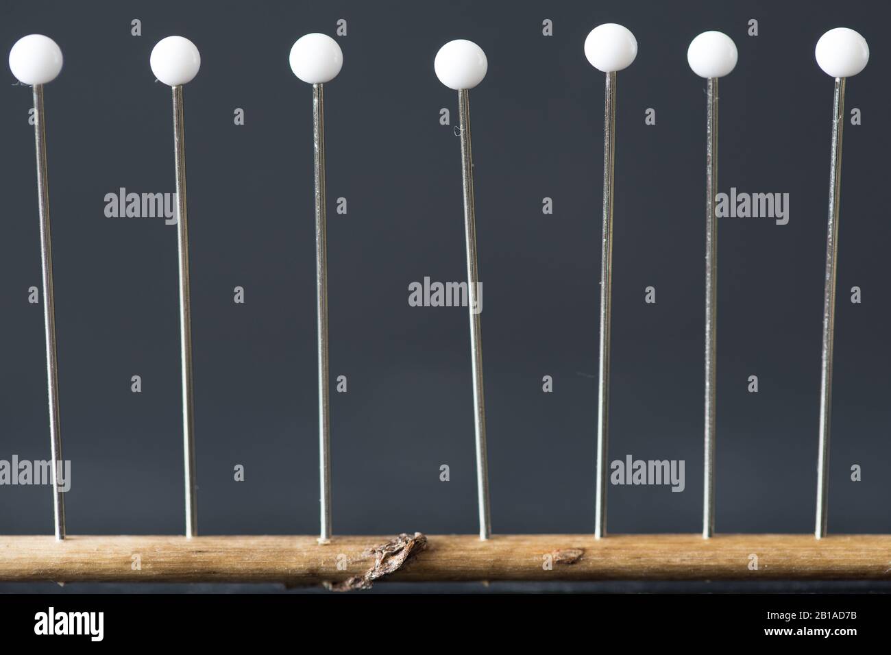 needles in a row Stock Photo - Alamy