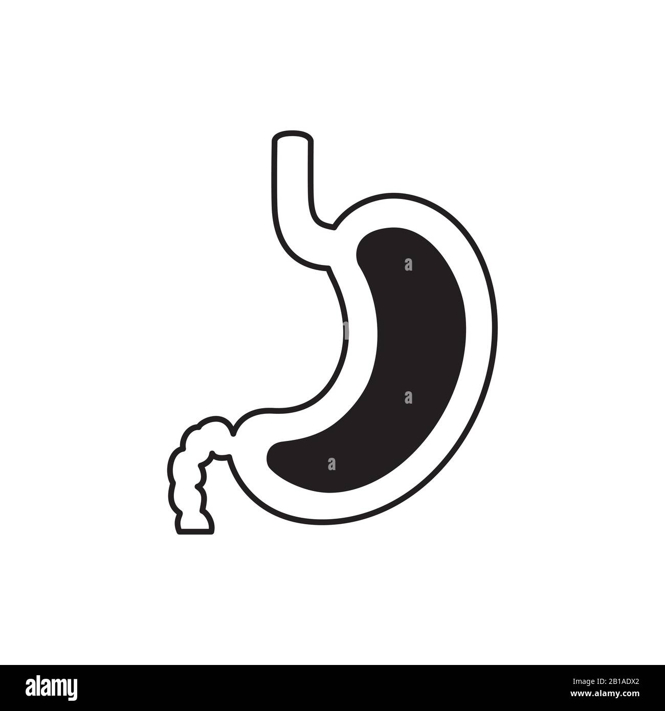 Isolated stomach icon vector design Stock Vector Image & Art - Alamy
