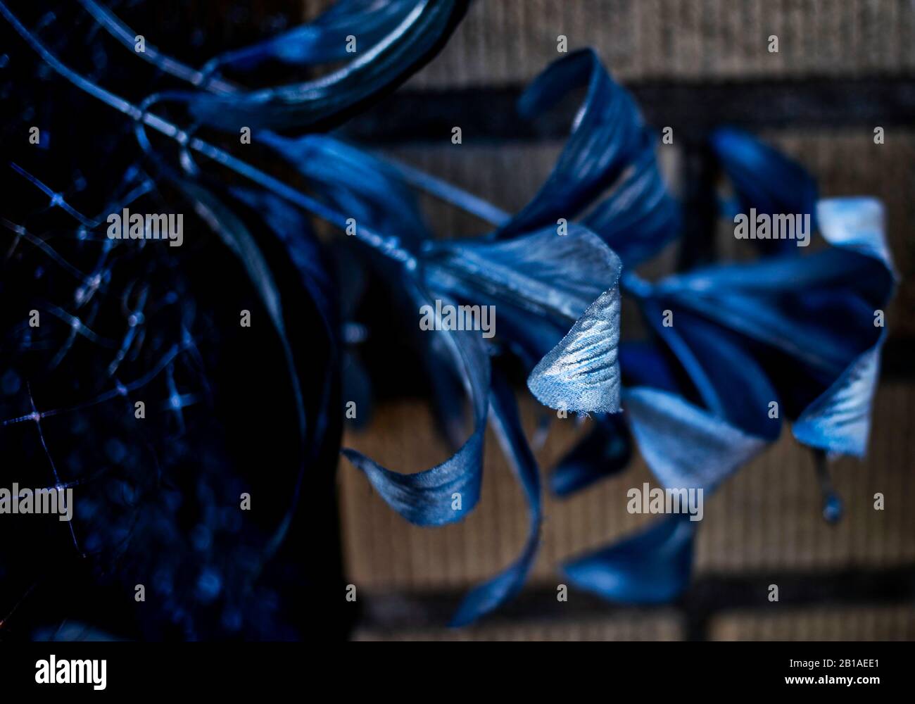 Blue vine hi-res stock photography and images - Alamy