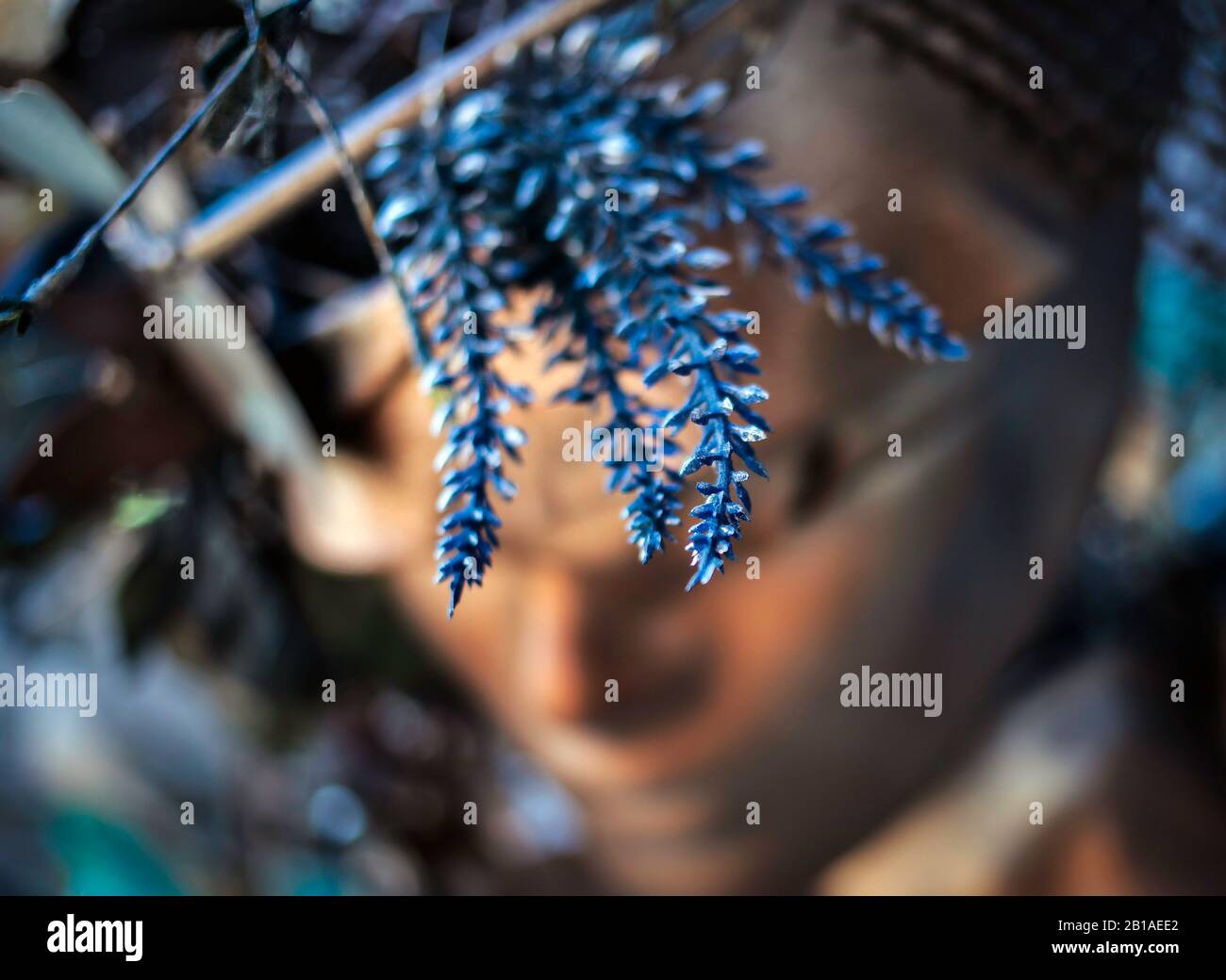Metal twigs hi-res stock photography and images - Alamy