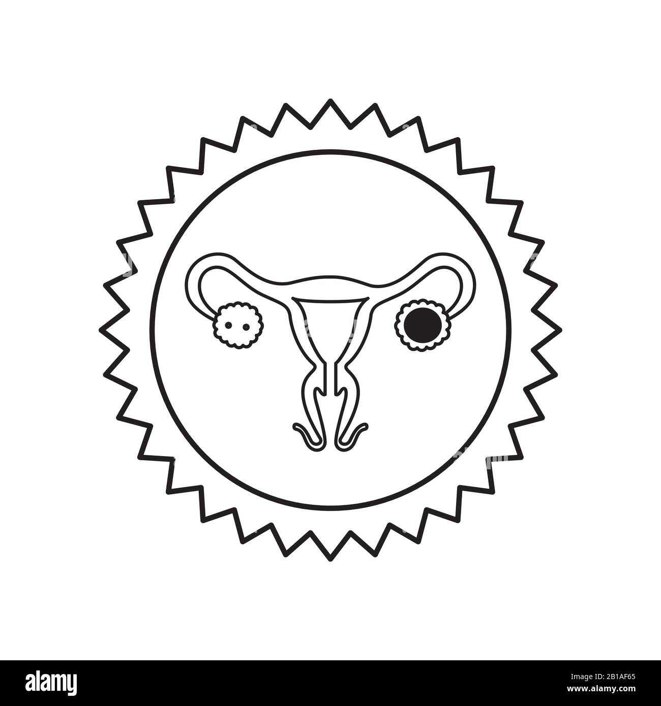Graphic art of human female reproductive system Black and White Stock ...