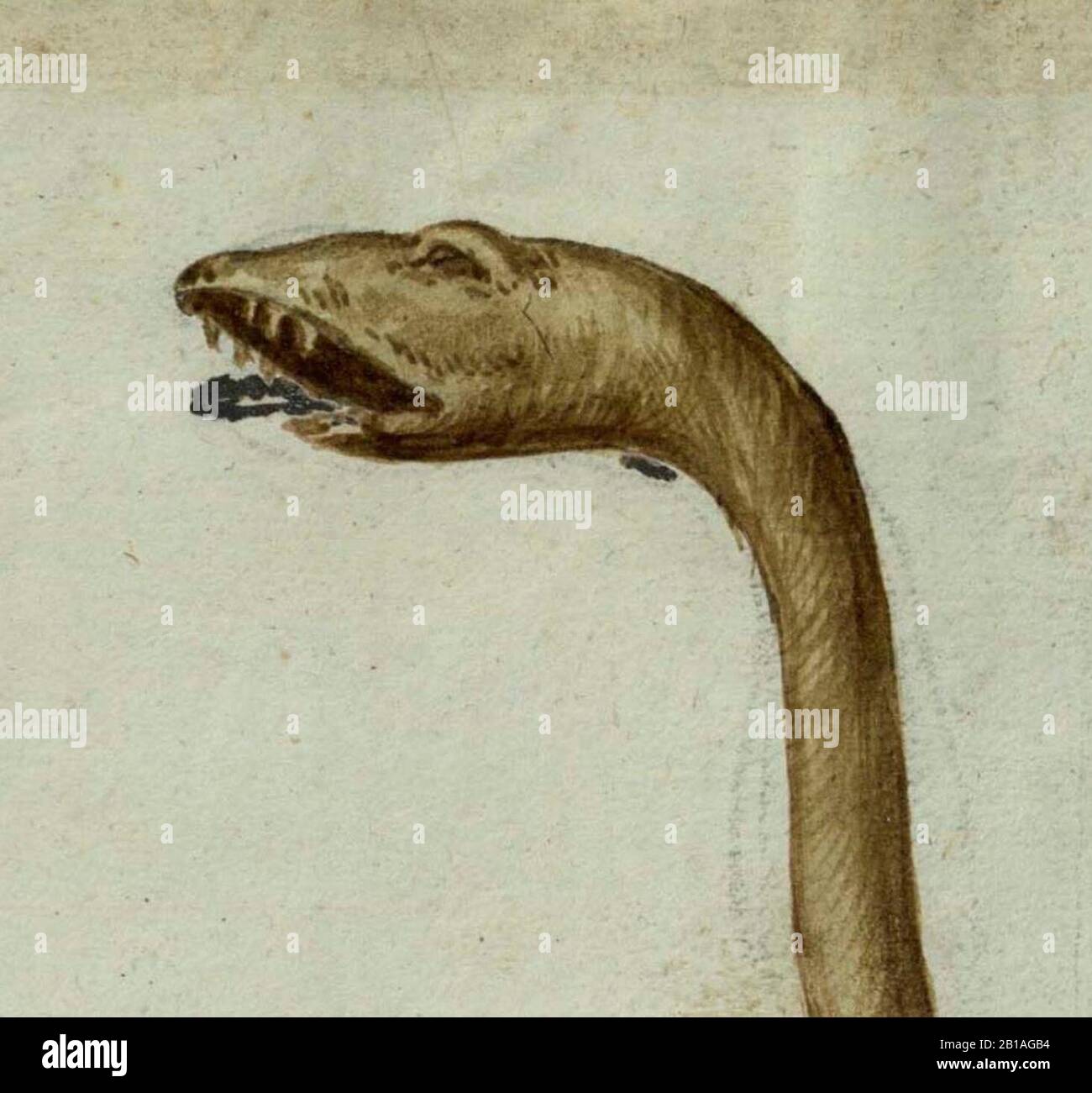 Left head hi-res stock photography and images - Alamy