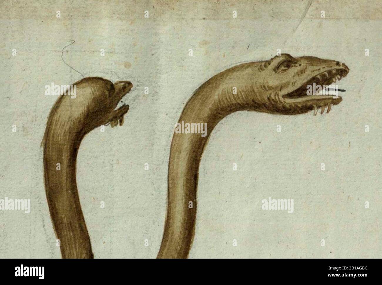 Freshfield Album, Serpent Column (fol 6) - detail (central head, right ...