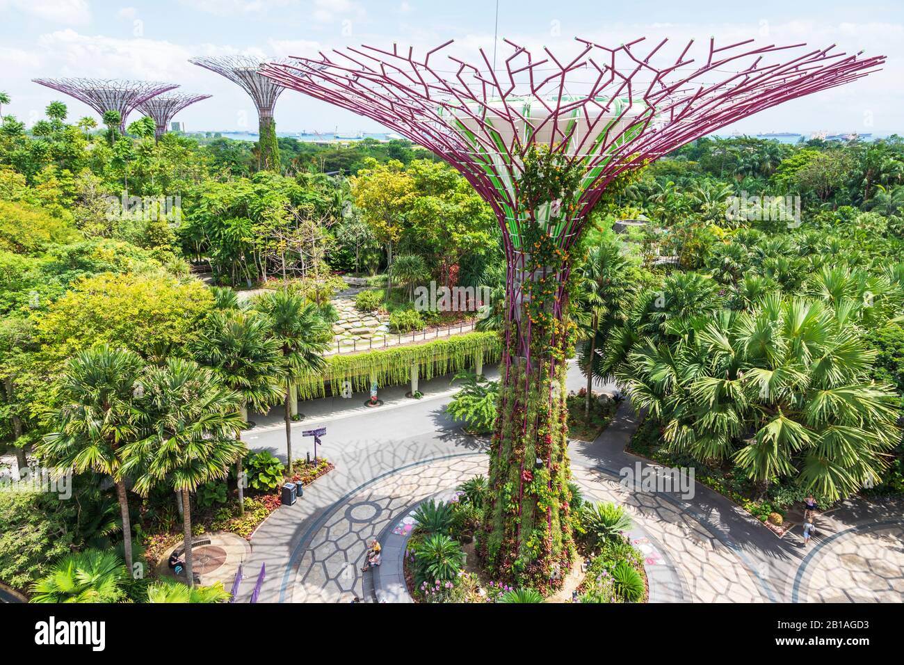 View of the towering vertical gardens and supertrees in Gardens by the ...