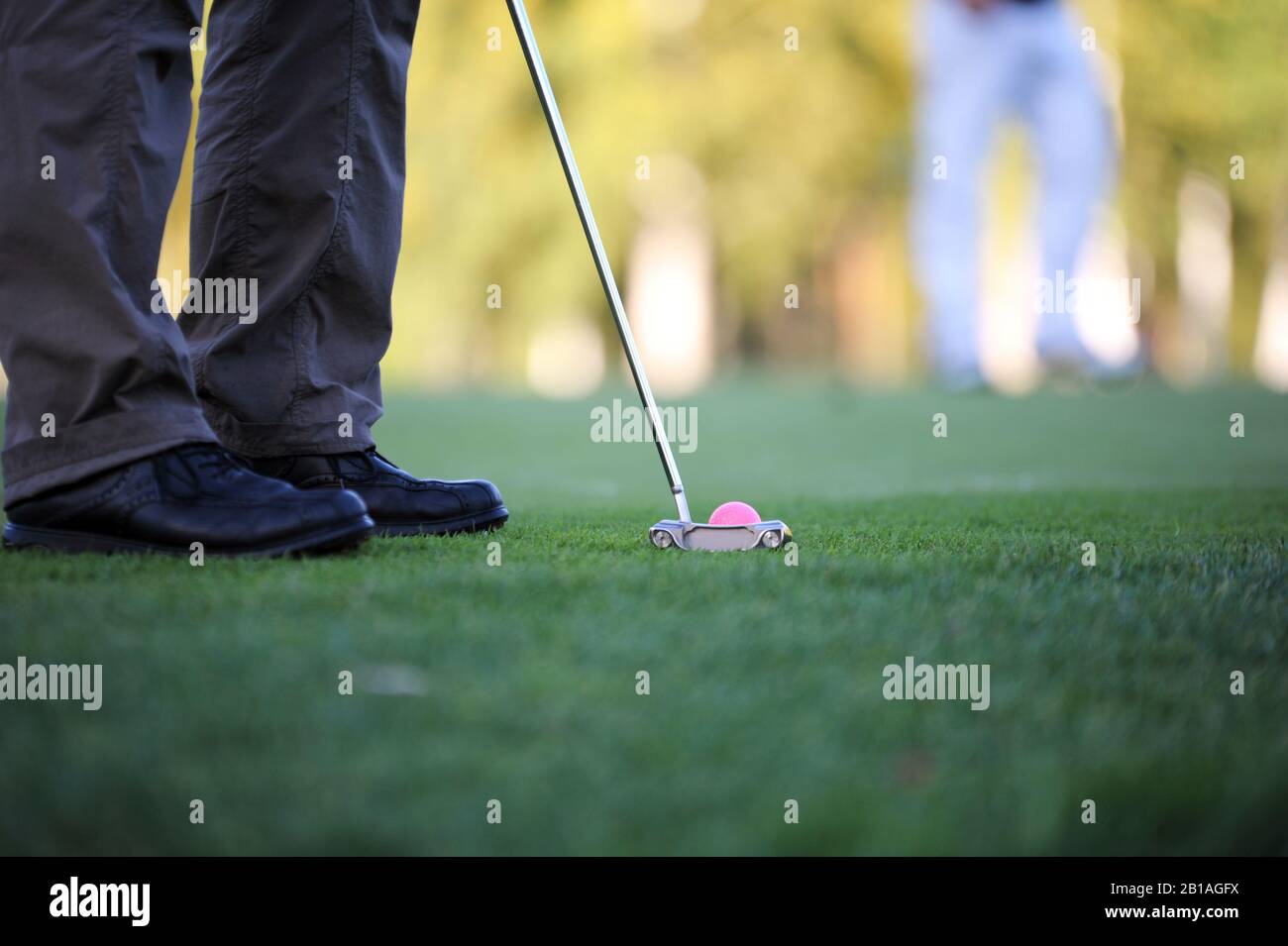 Man putting pink golf ball Stock Photo - Alamy