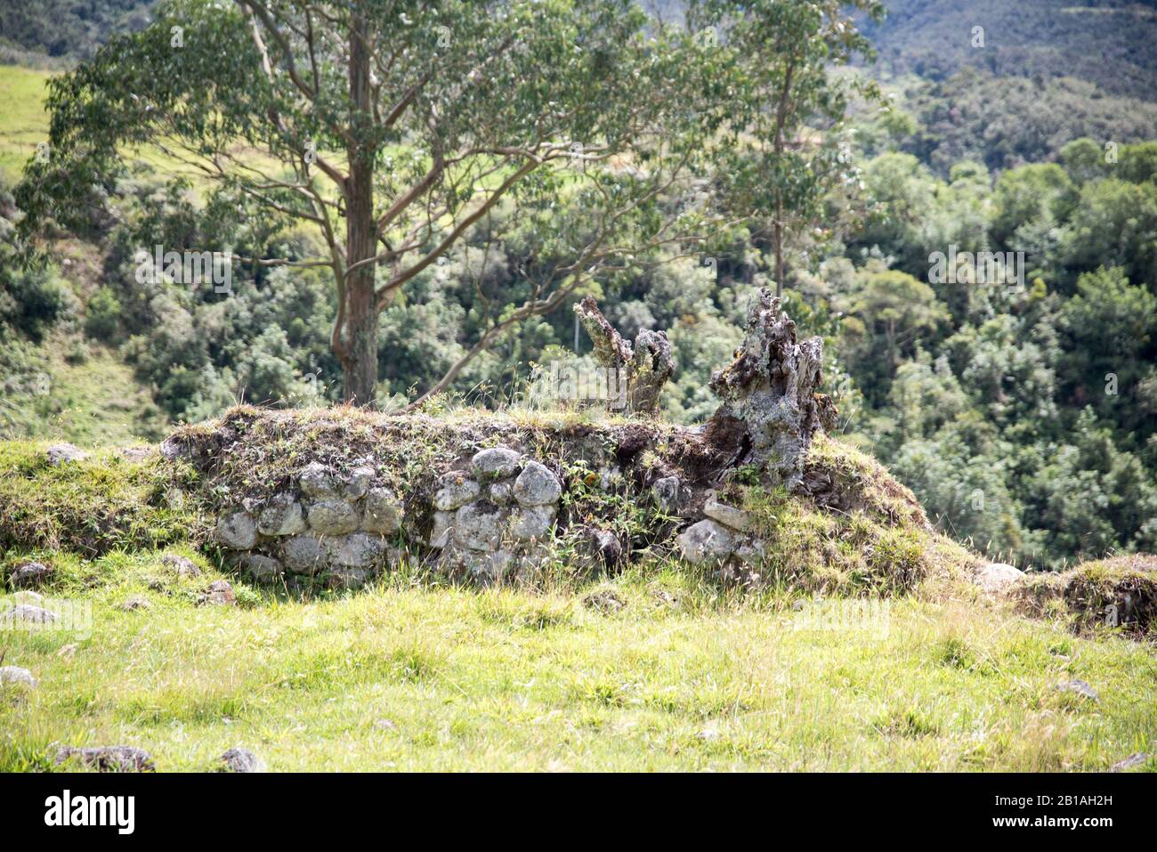 Signs of pre-Incan cultures in Tambo Blanco (Ciudadela), San Lucas ...