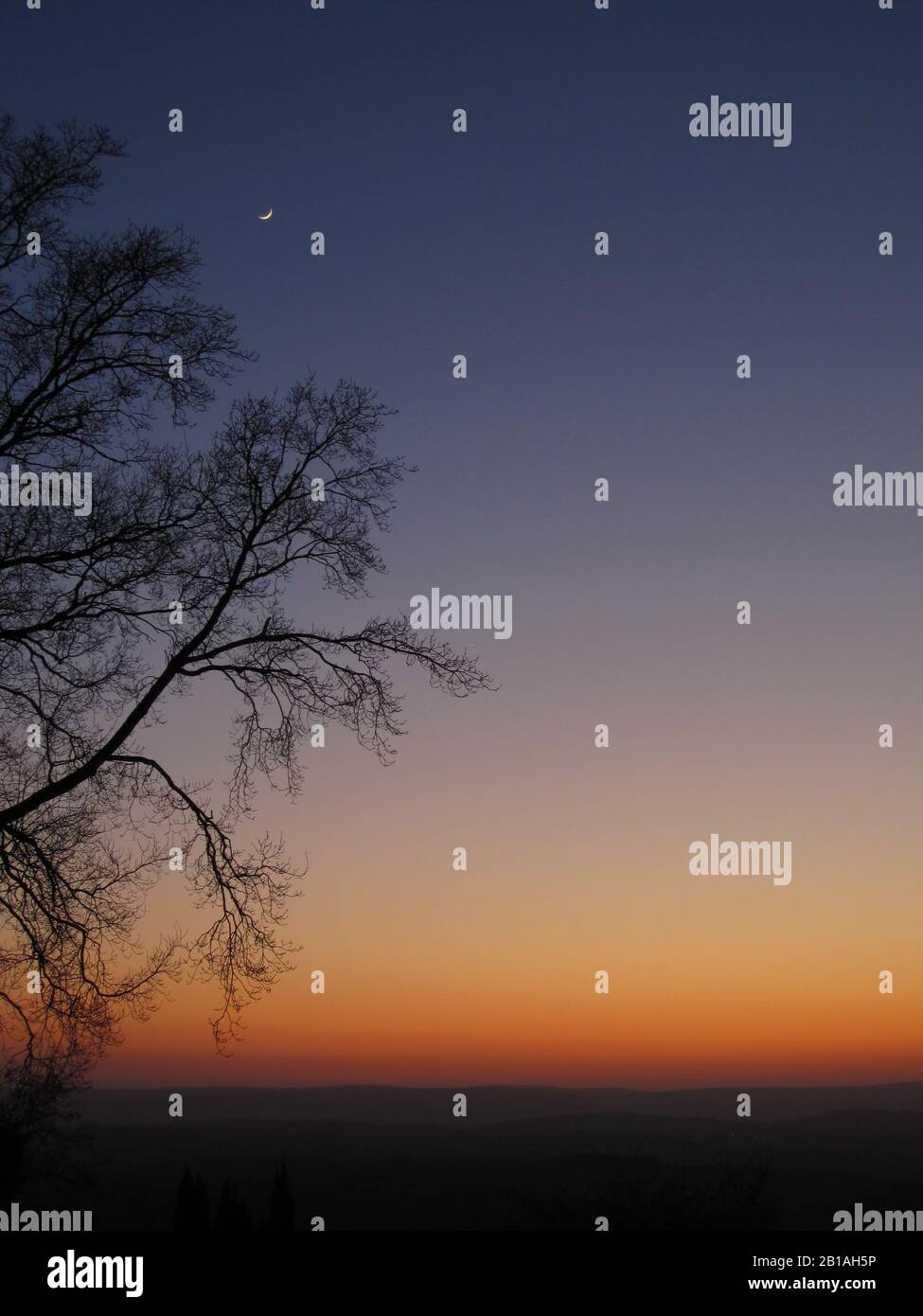 Moon in orange night sky Stock Photo - Alamy