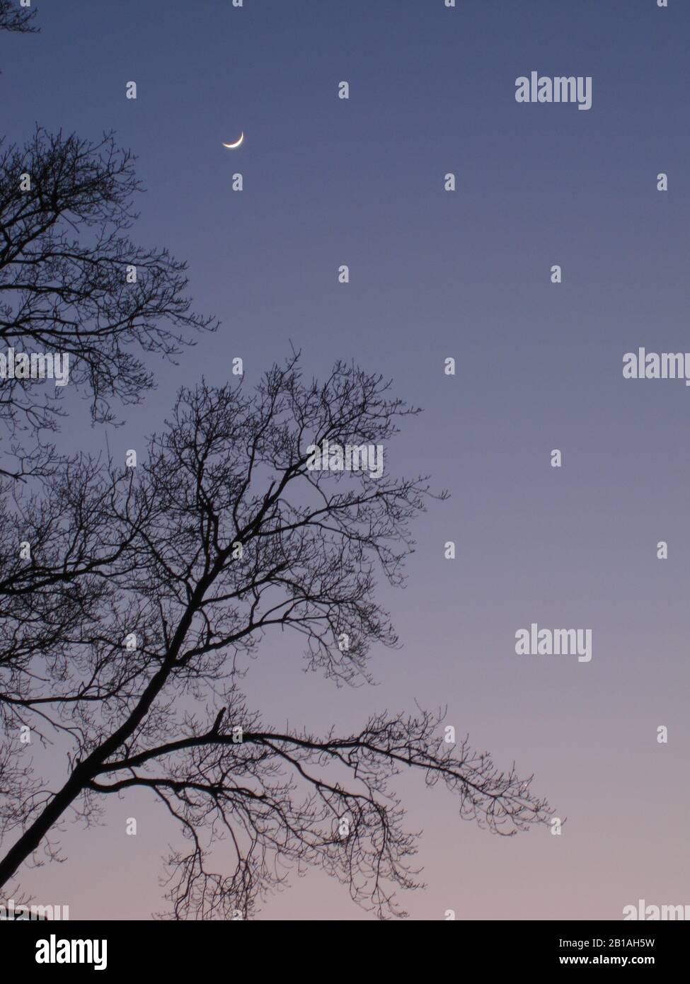 Crescent Moon visible in night sky Stock Photo - Alamy