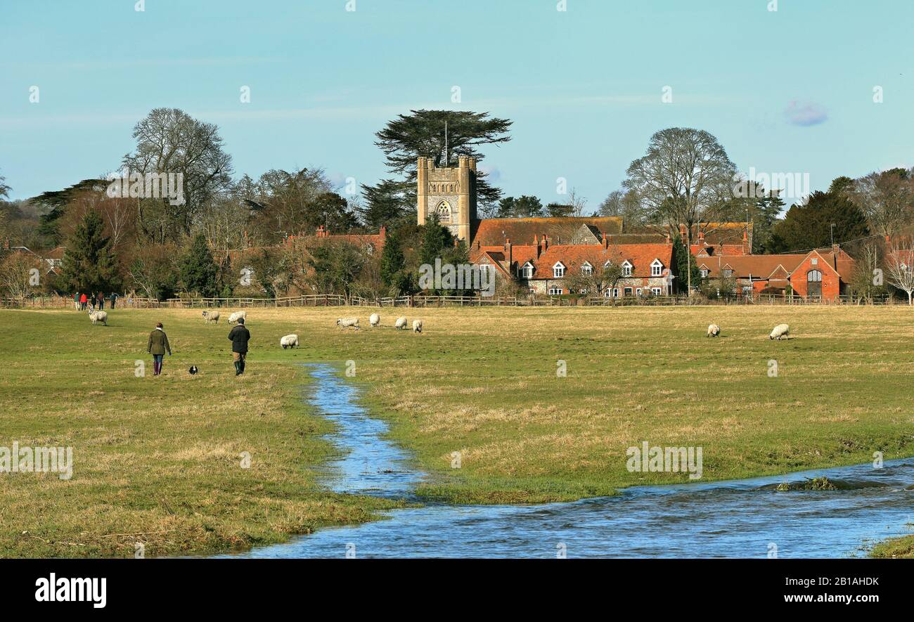 Grazing Sheep in the Chiltern Hills with Village in the background ...