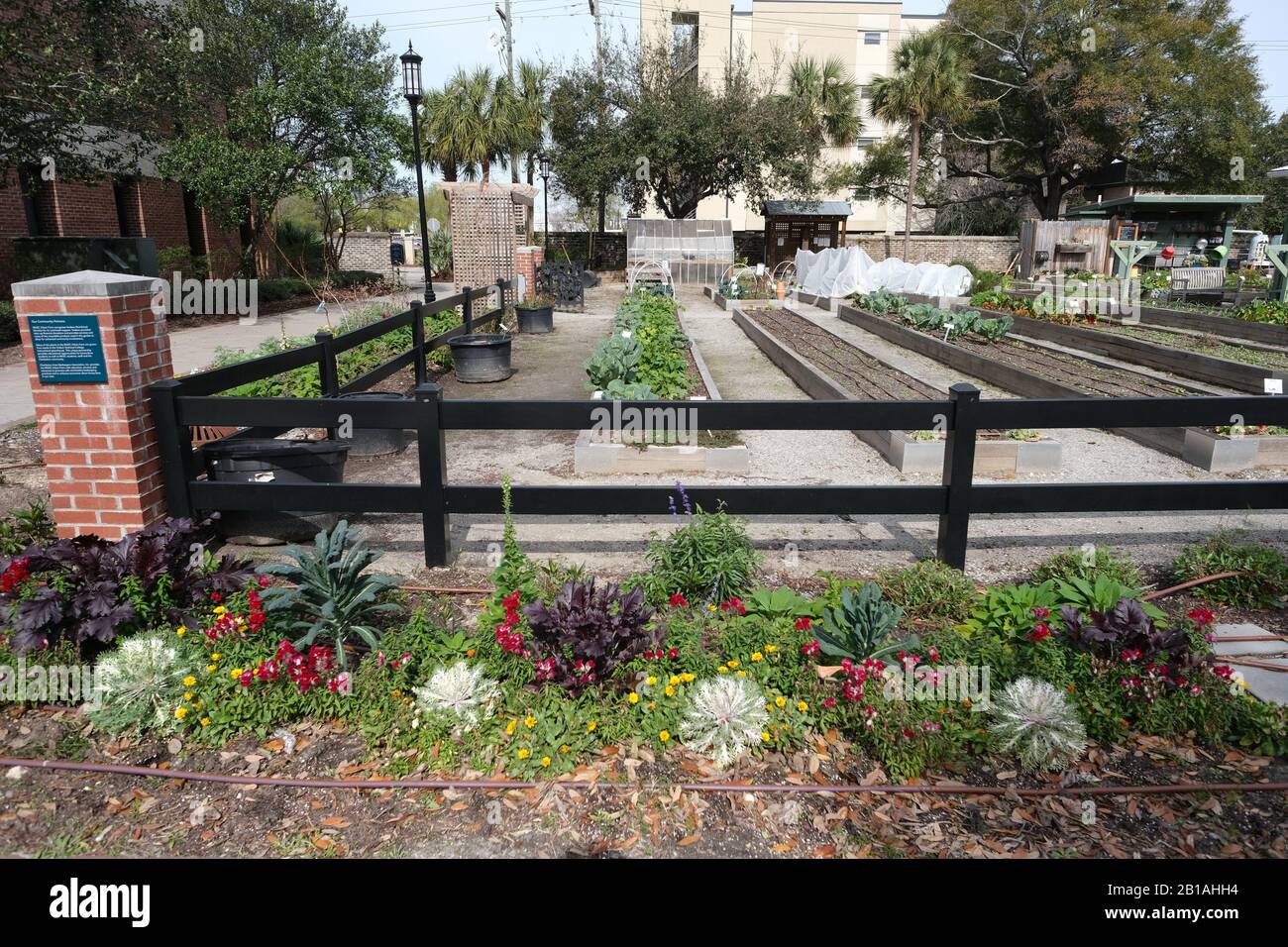 Urban Garden with various plots of flowers and vegetables being grown ...
