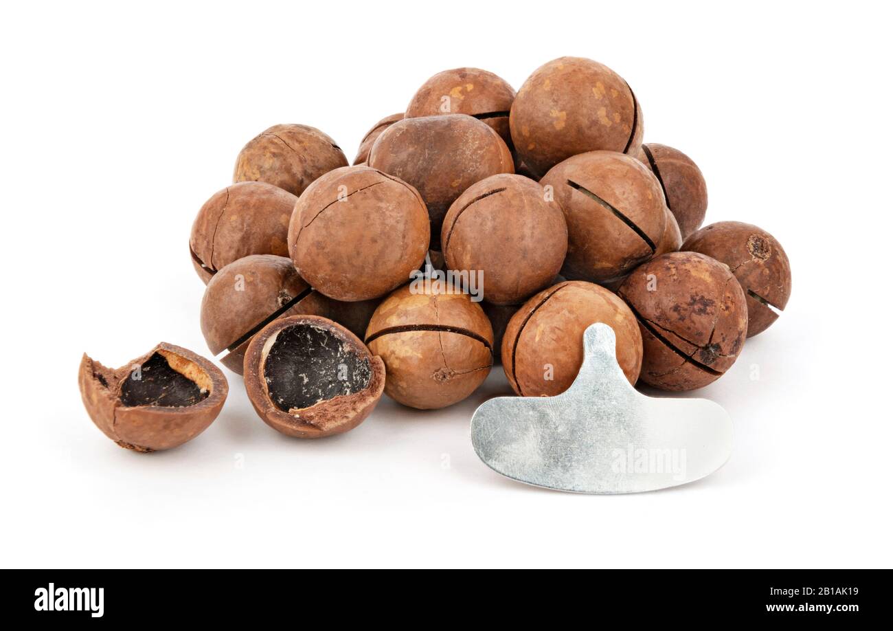 Whole macadamia nuts hi-res stock photography and images - Alamy