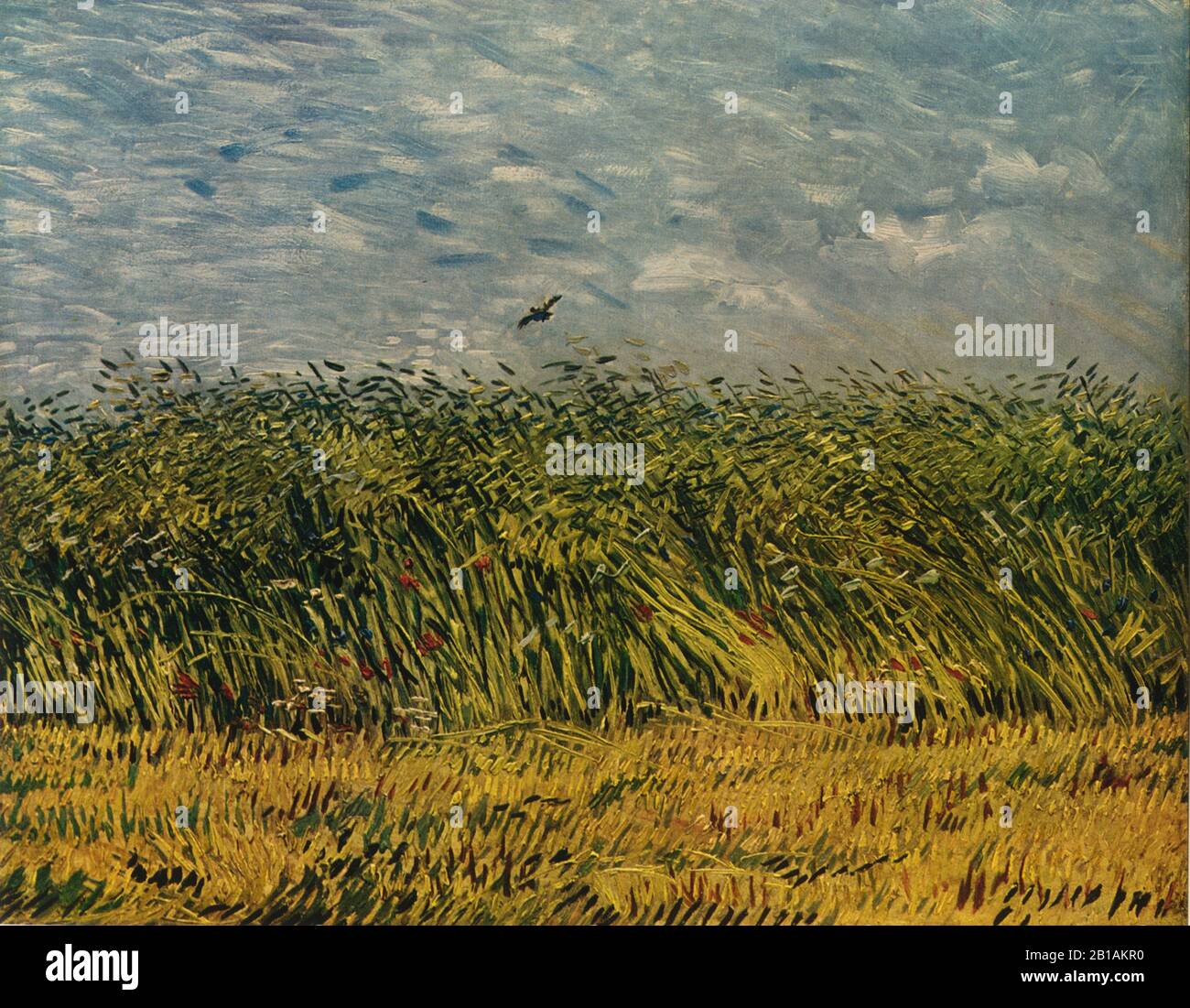 A Wheat Field circa 1887 painting by Vincent van Gogh - Very high ...