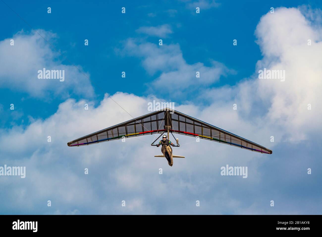 Flying Wing Hang Gliders