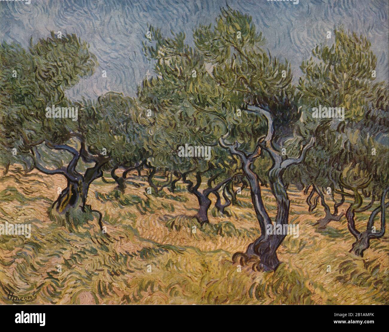 Olive Orchard 1889 painting by Vincent van Gogh - Very high resolution ...