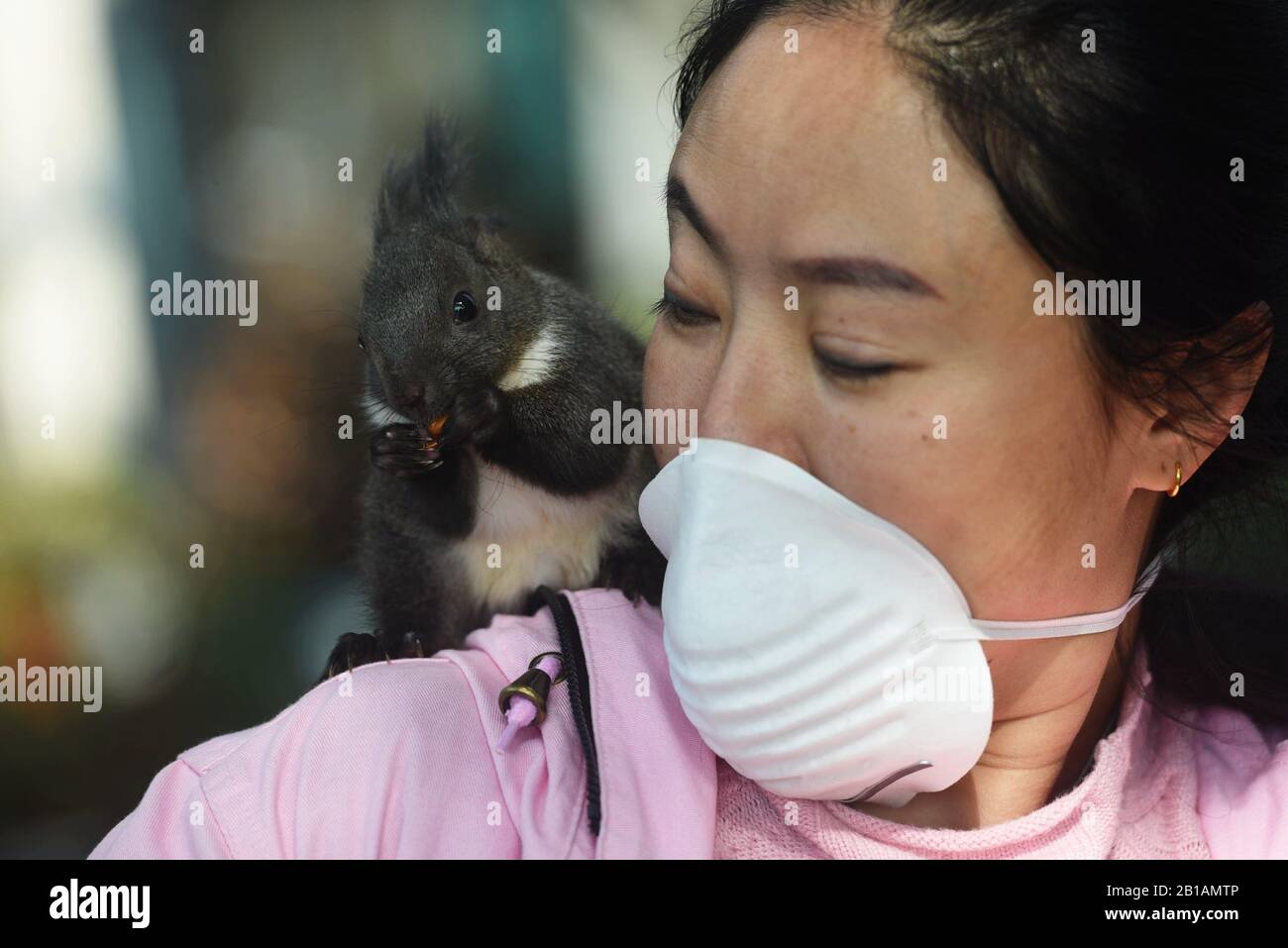 Zhejiang,CHINA-A small squirrel raised in captivity has been spotted in ...