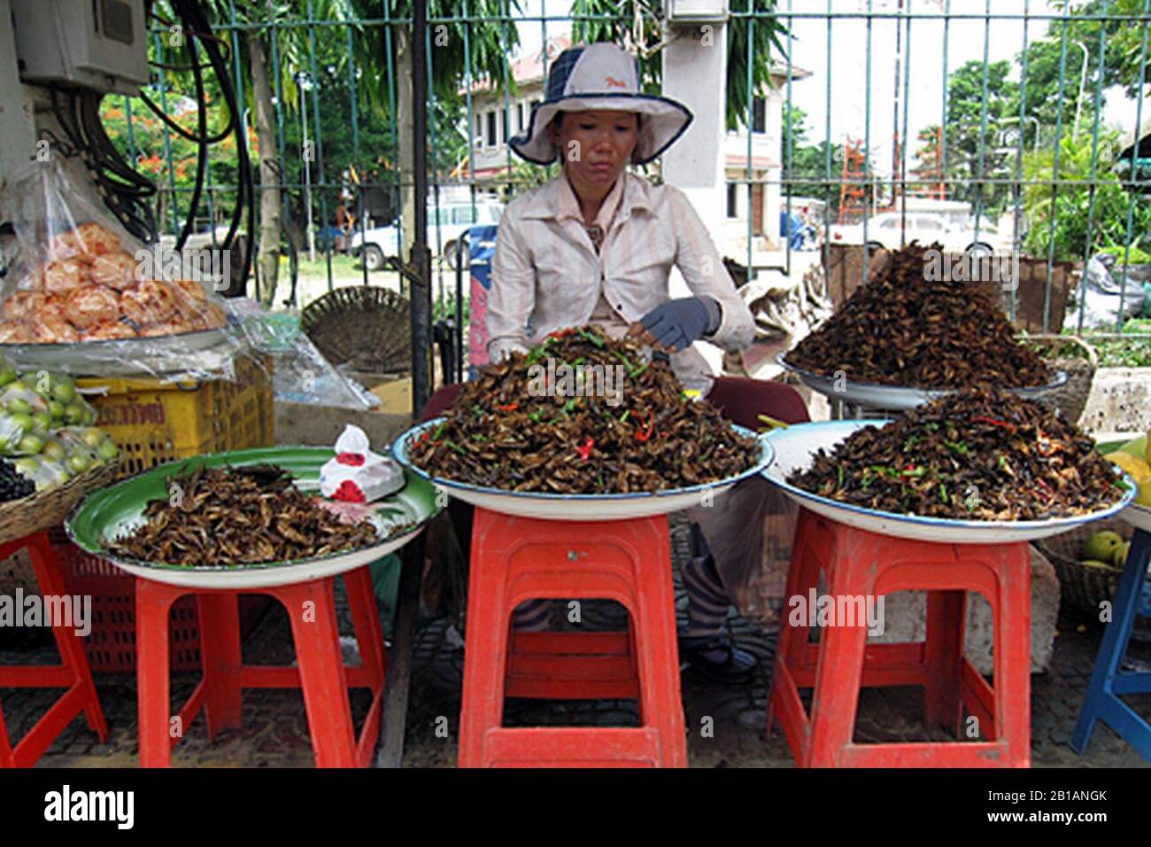 Fried insect vendor in Cambodia 1 Stock Photo - Alamy