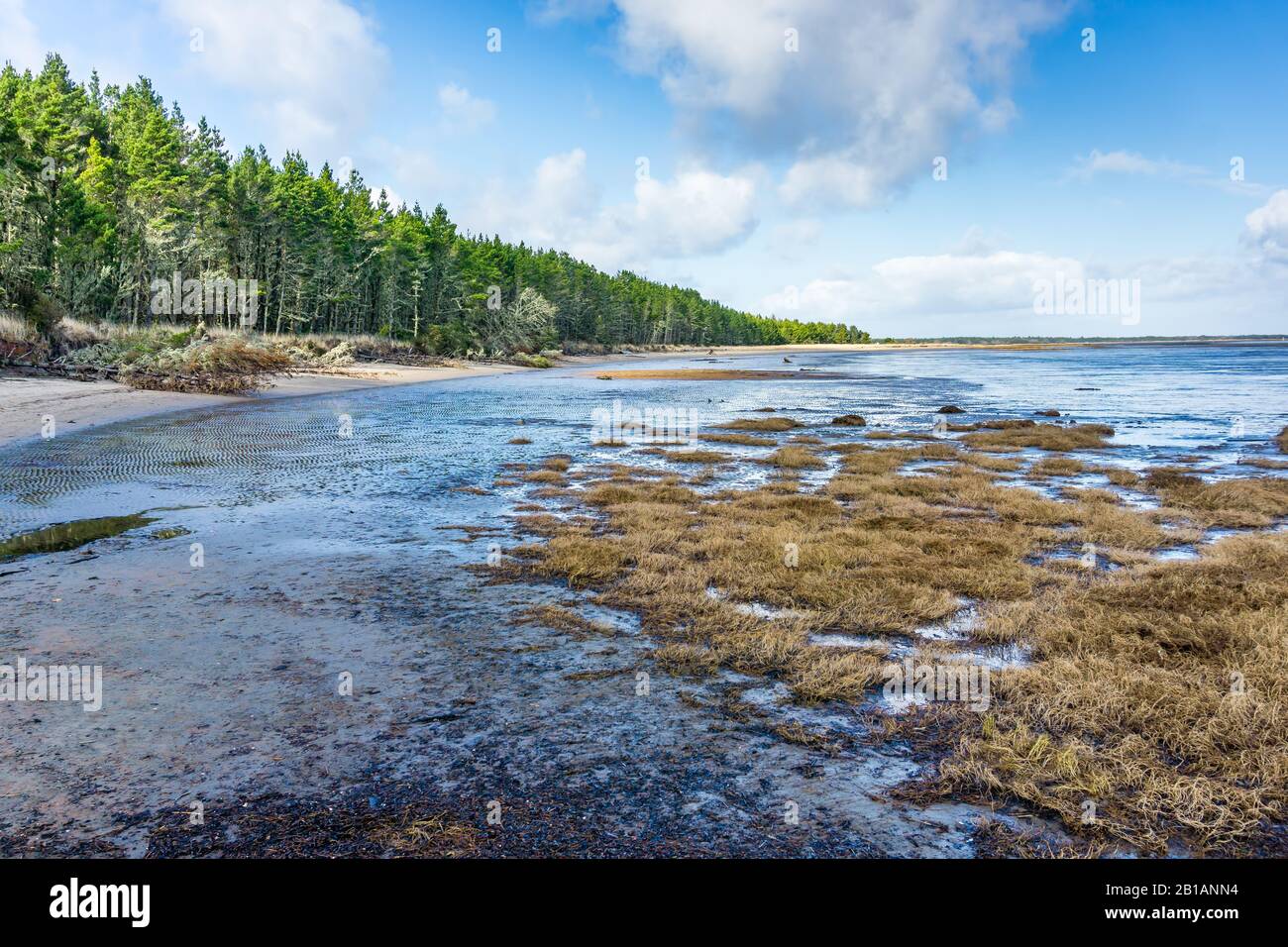 A view of the shoreline at Leadbetter Point State Park in Washington ...