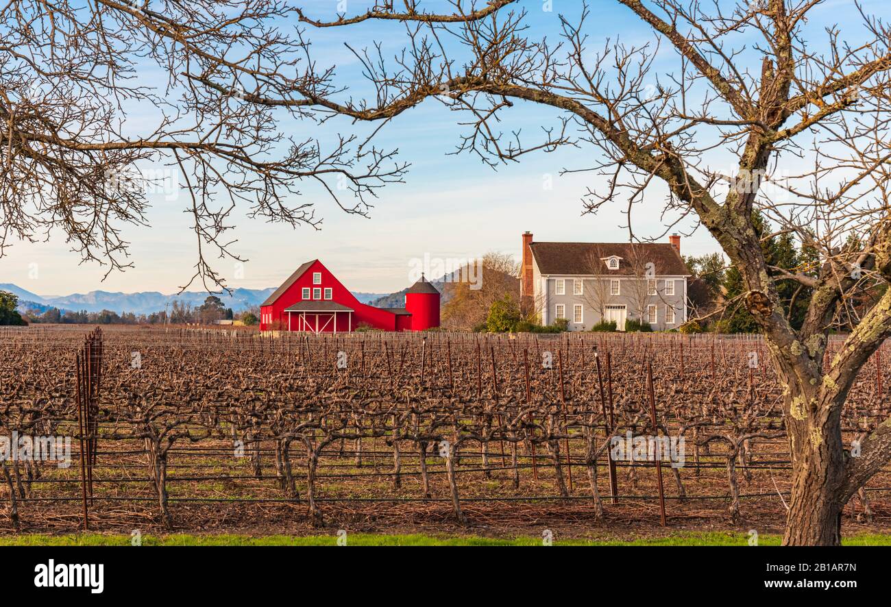 A farmhouse in Napa Valley surrounded by vineyards Stock Photo - Alamy