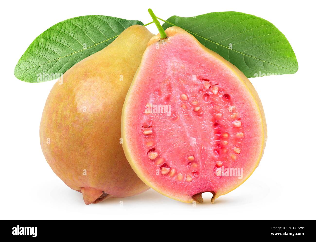 Isolated guava. One whole yellow guava fruit and a half with pink flesh ...