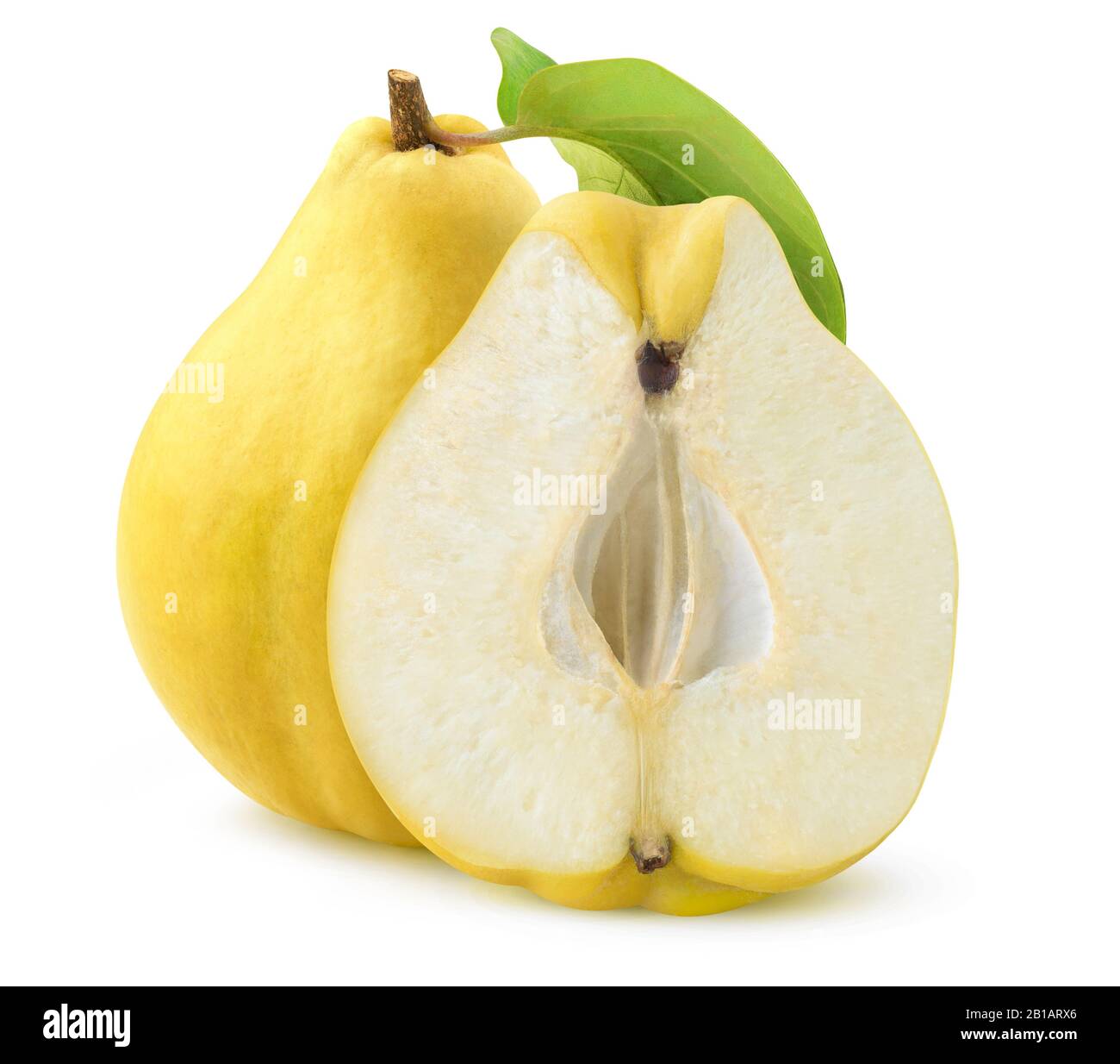 Isolated quince. One and a half of fresh quince fruit isolated on white ...