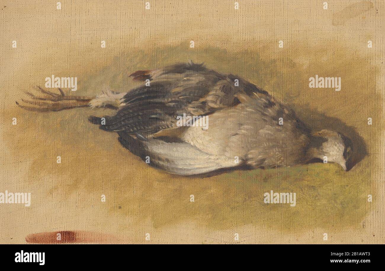 Dead partridge hi-res stock photography and images - Alamy