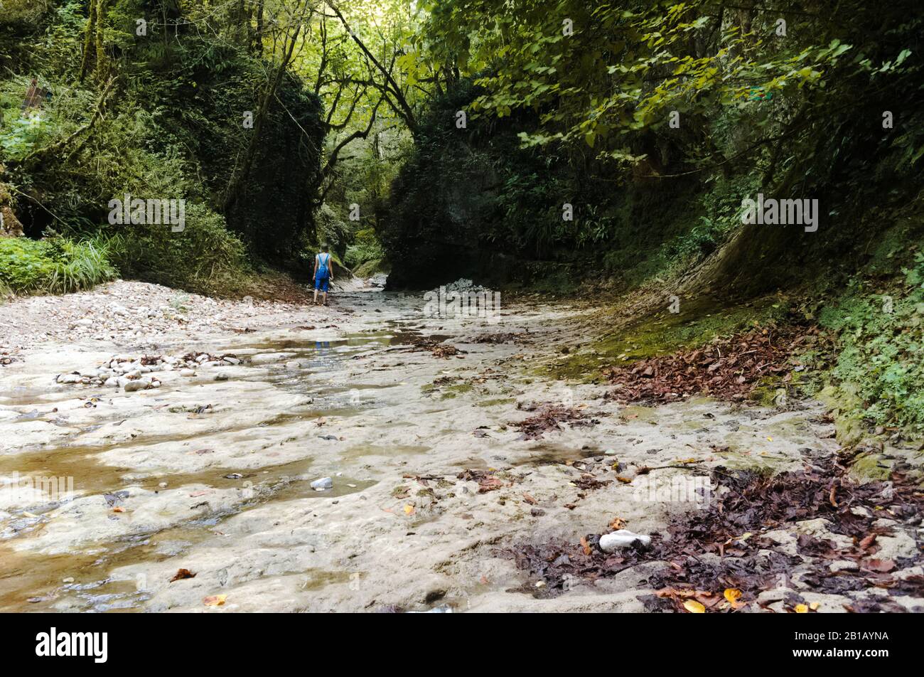 River mountain stream hi-res stock photography and images - Alamy
