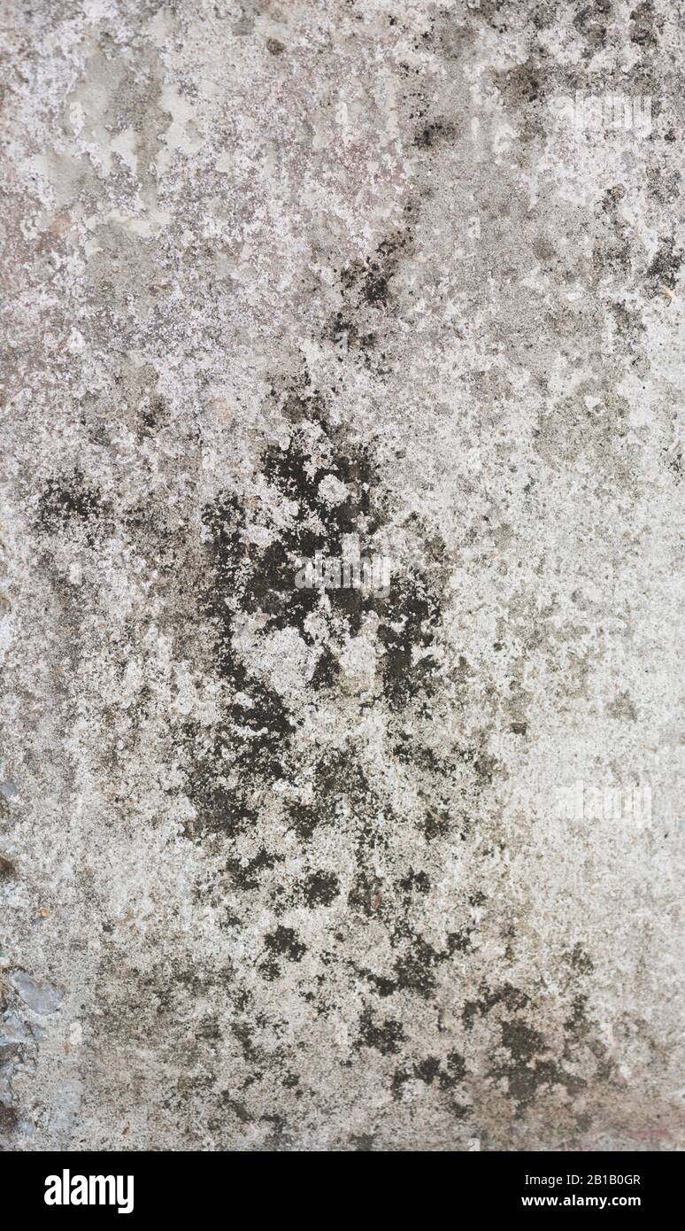 Concrete natural texture or background Stock Photo - Alamy