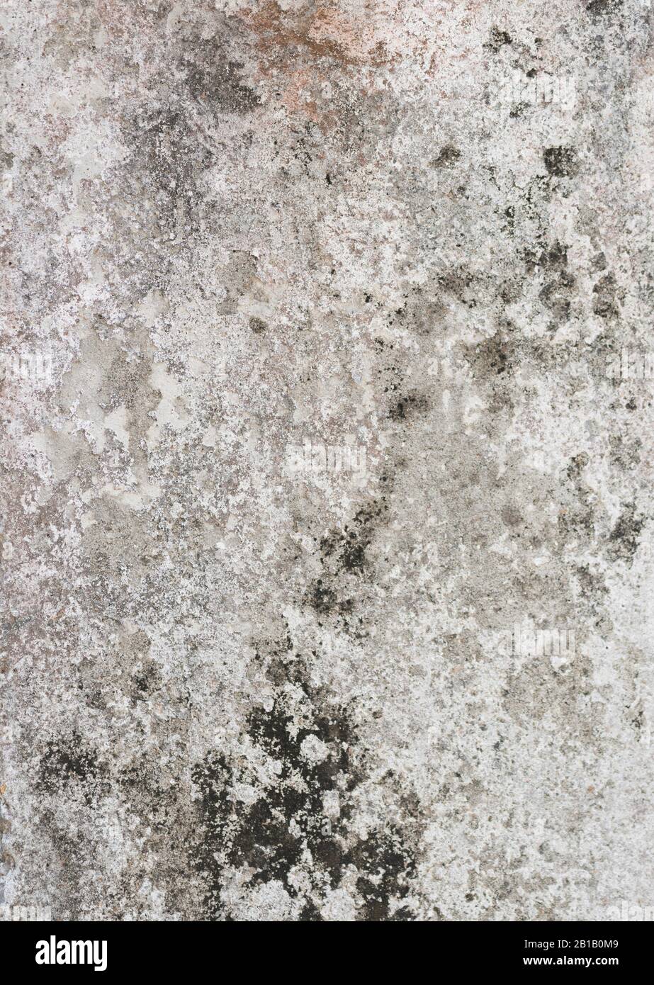 Concrete natural texture or background Stock Photo - Alamy