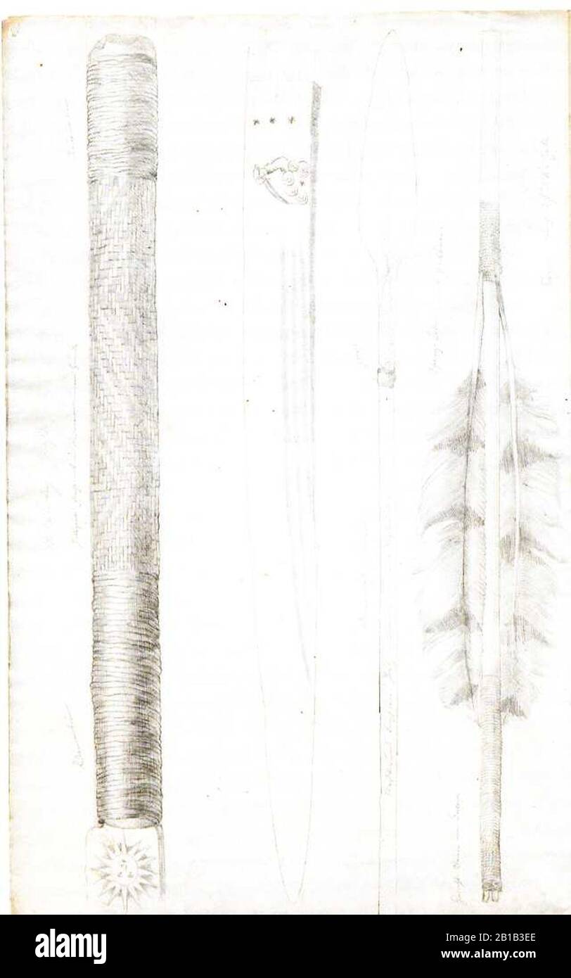 Sellow High Resolution Stock Photography and Images - Alamy