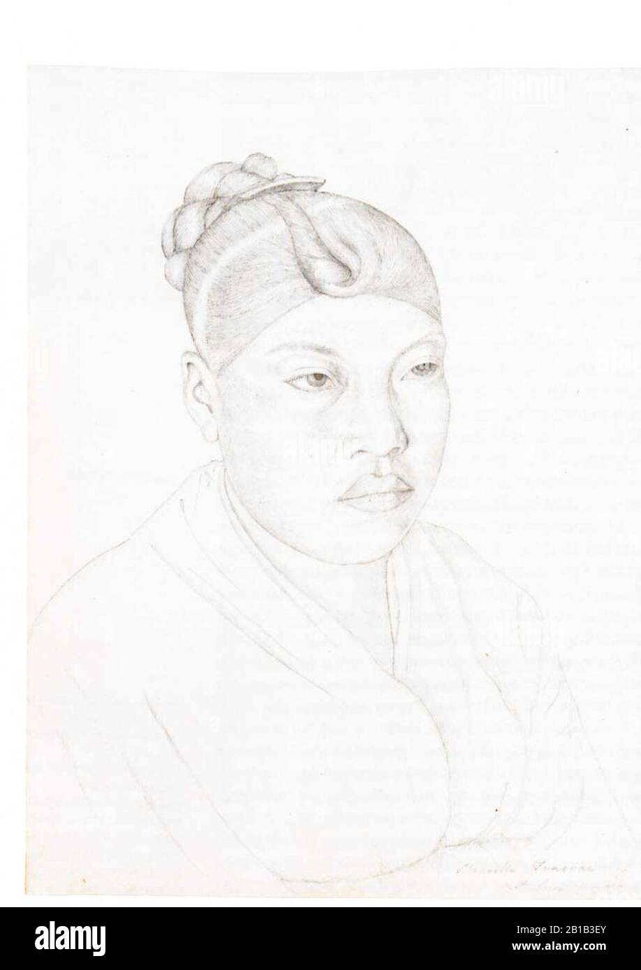 Sellow hi-res stock photography and images - Alamy