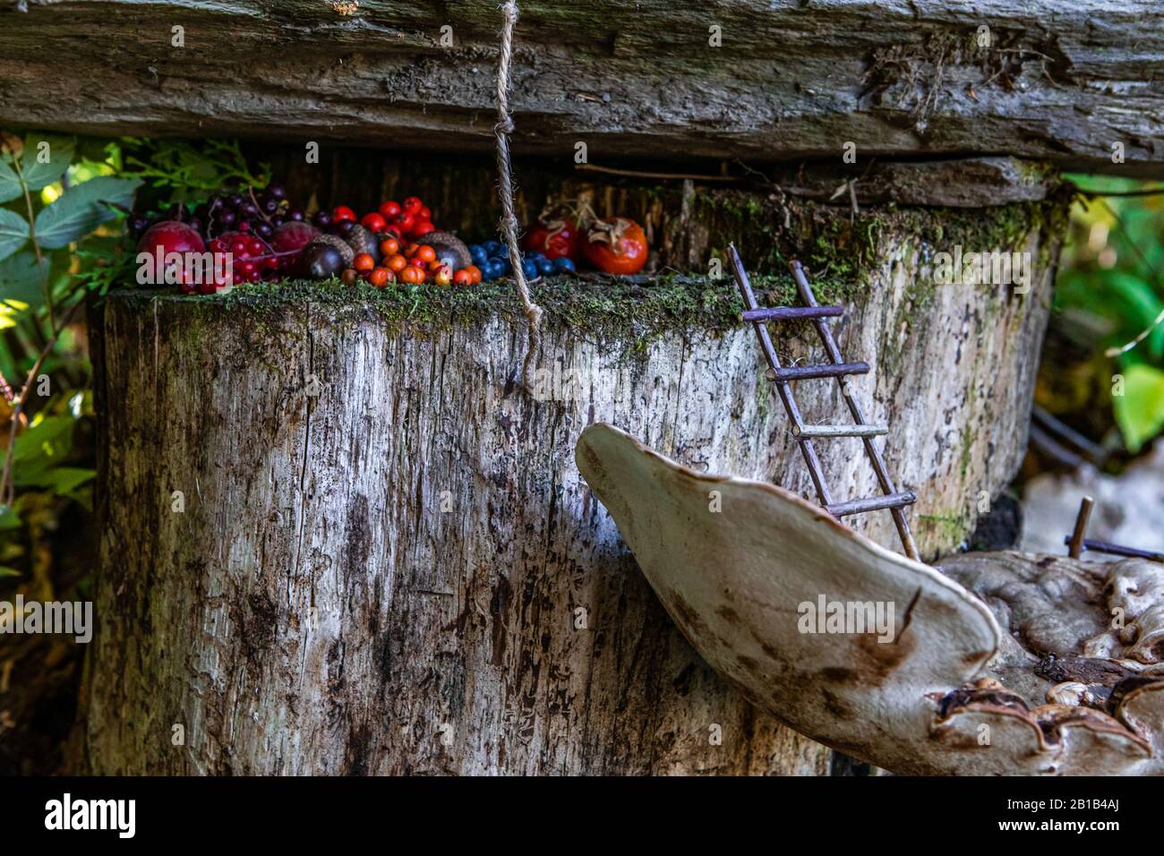 Secret caché hi-res stock photography and images - Alamy