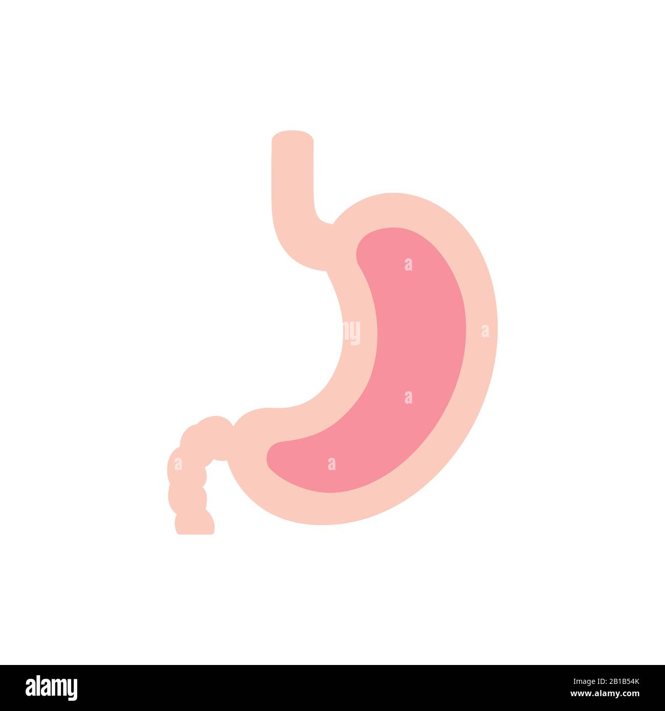Stomach examination Cut Out Stock Images & Pictures - Alamy