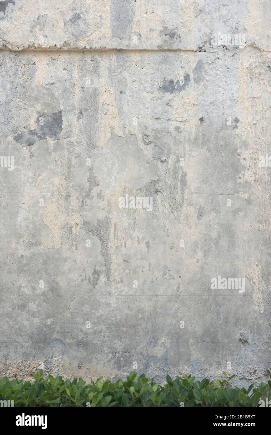 Concrete natural texture or background Stock Photo - Alamy