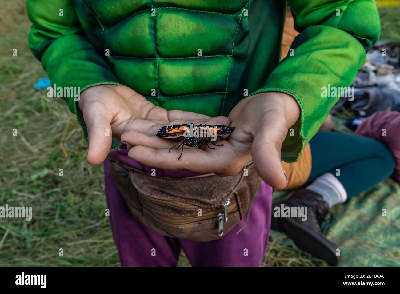 Monarch butterfly festival hi-res stock photography and images - Alamy
