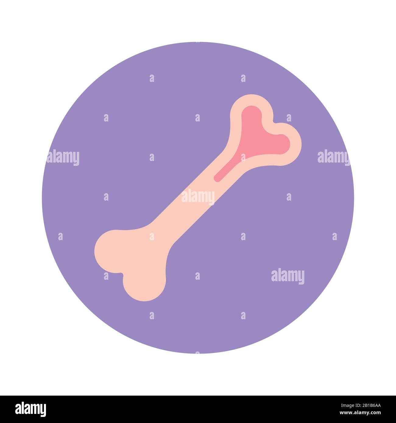 Bone heal Stock Vector Images - Alamy