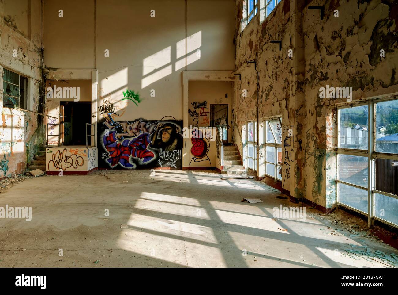 Abandoned, neglected urban buildings, with graffiti and smashed windows ...