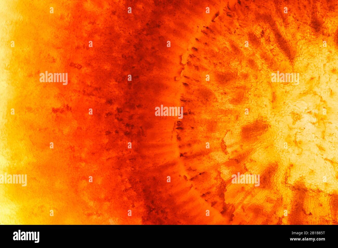Super macro shot of fresh carrot pulp. Detailed background with fibers ...
