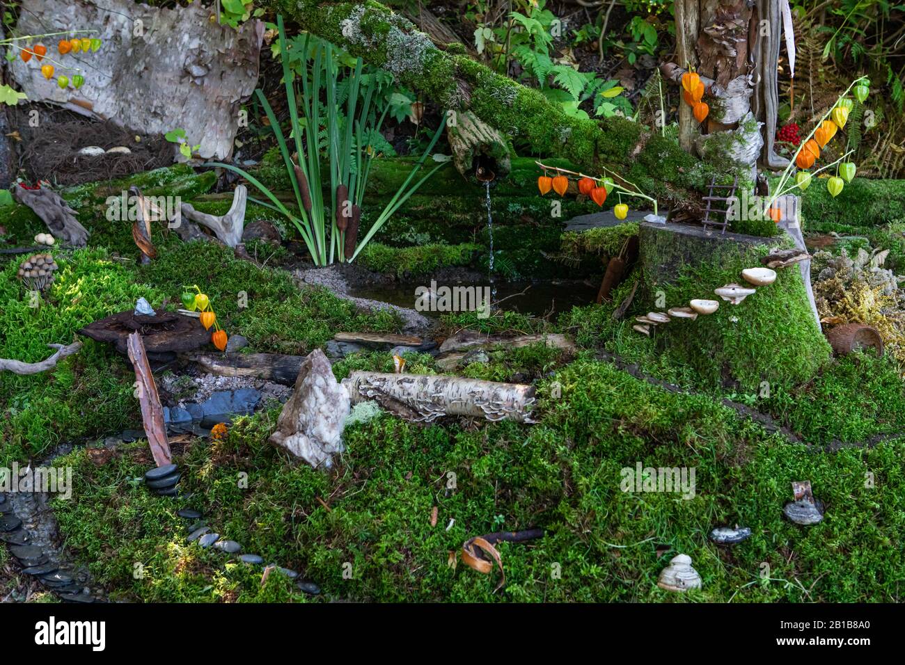 A wide angle view of an enchanting miniature fairy woodland scene with ...