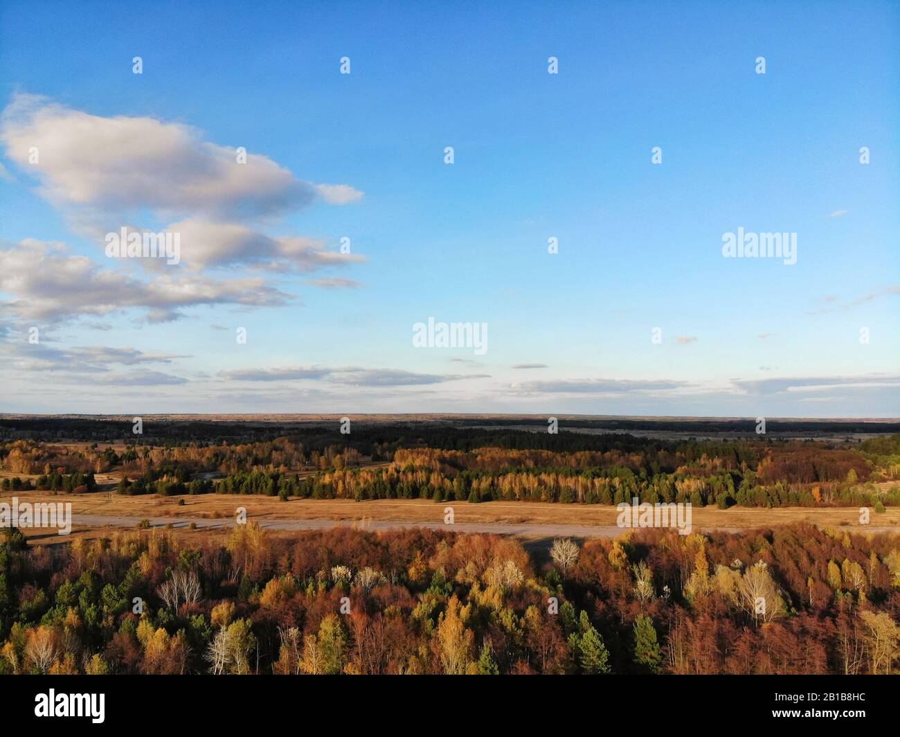 Beautiful aerial view of bright autumn trees in countryside taken by ...