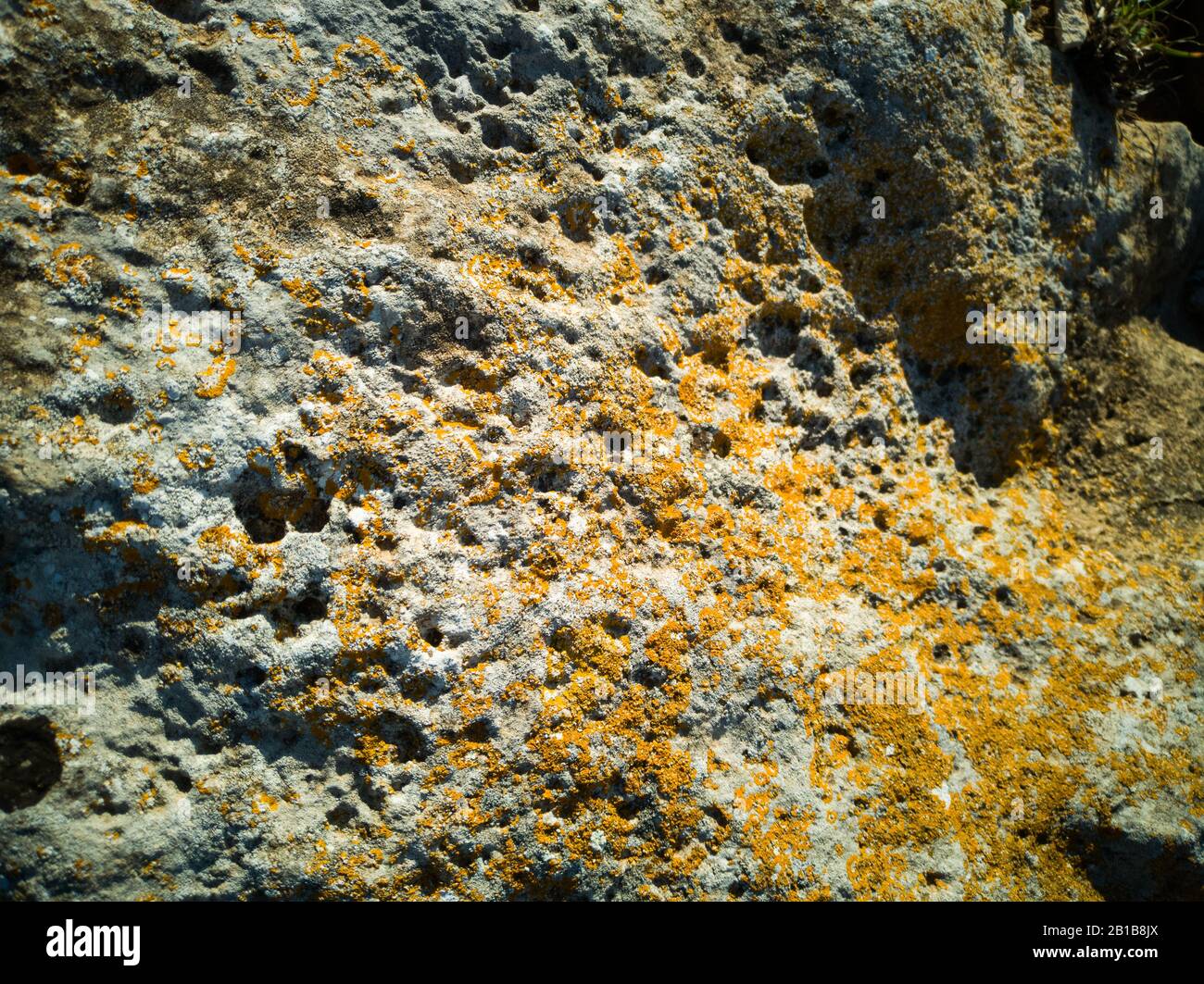 Scenery texture hi-res stock photography and images - Alamy
