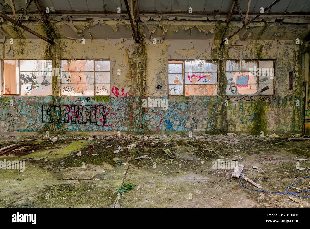 Abandoned, neglected urban buildings, with graffiti and smashed windows ...