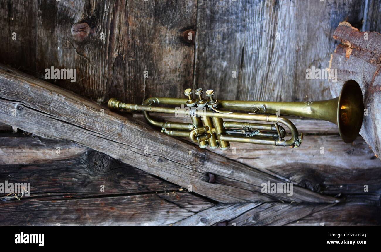 an antique jazz trumpet in an old barn Stock Photo - Alamy