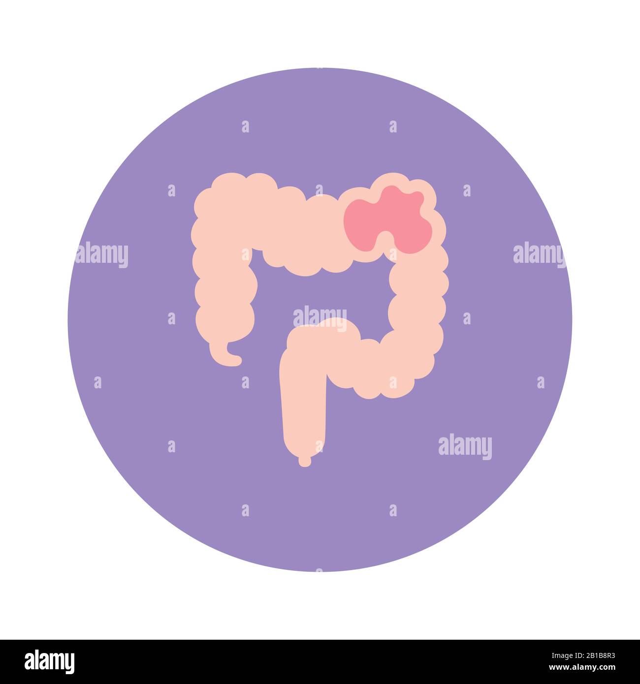Large intestine icon hi-res stock photography and images - Alamy