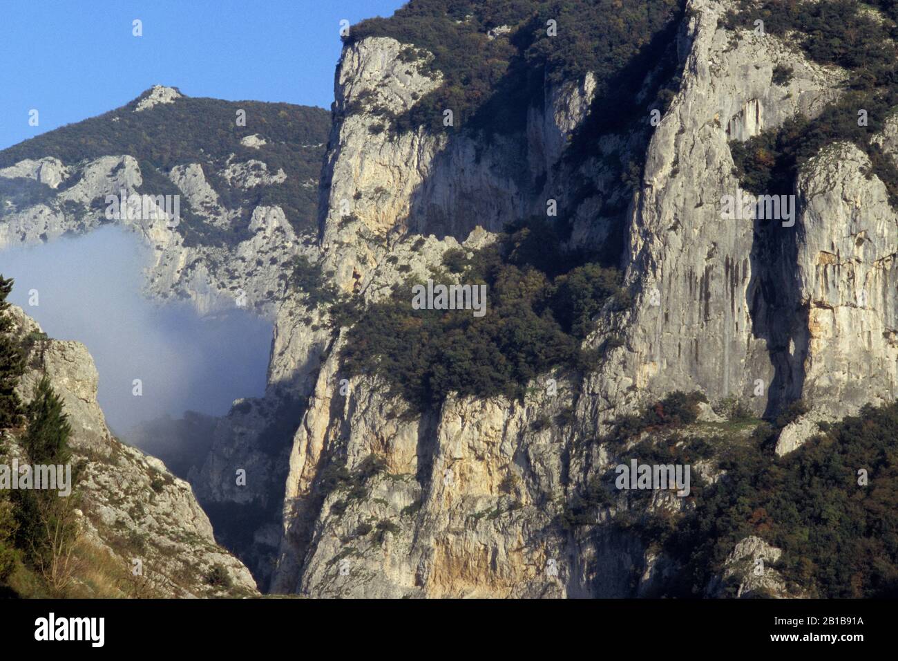 Gola del Furlo, Furlo Gorge,Marche,Italy Stock Photo - Alamy