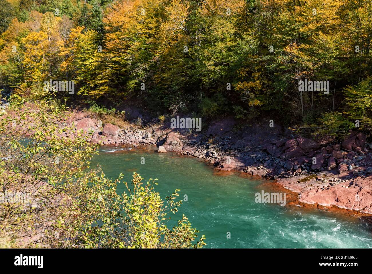 Beautiful autumn landscape with mountain river and forest Stock Photo ...