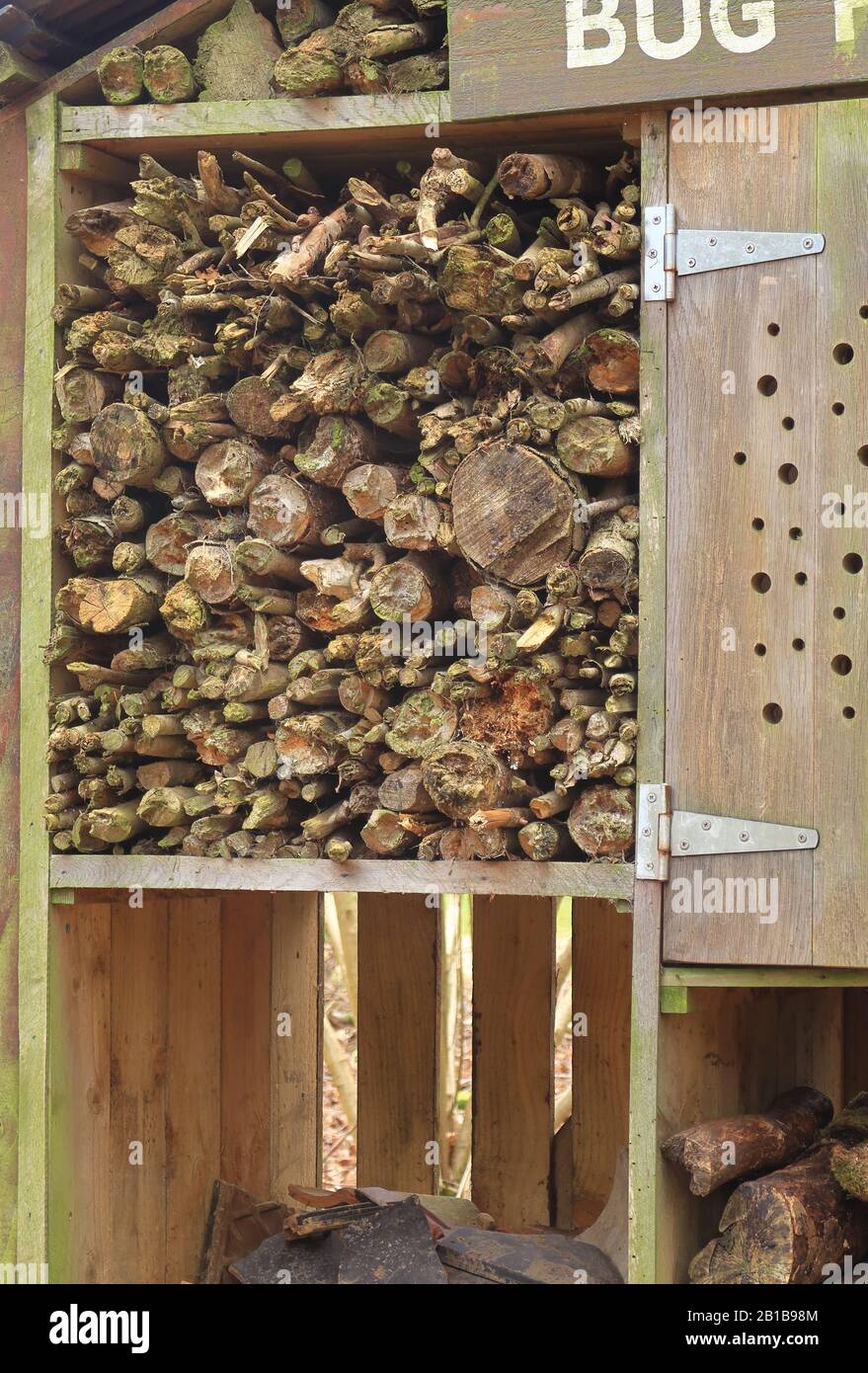 Close up of a wooden bug house Stock Photo - Alamy