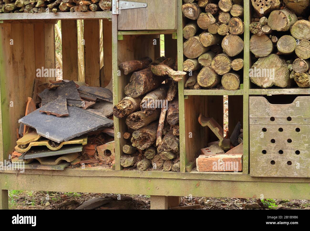 Sections of a wooden bug house Stock Photo - Alamy