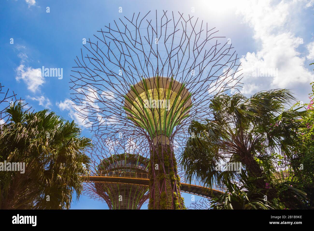 View of the towering vertical gardens and supertrees in Gardens by the ...