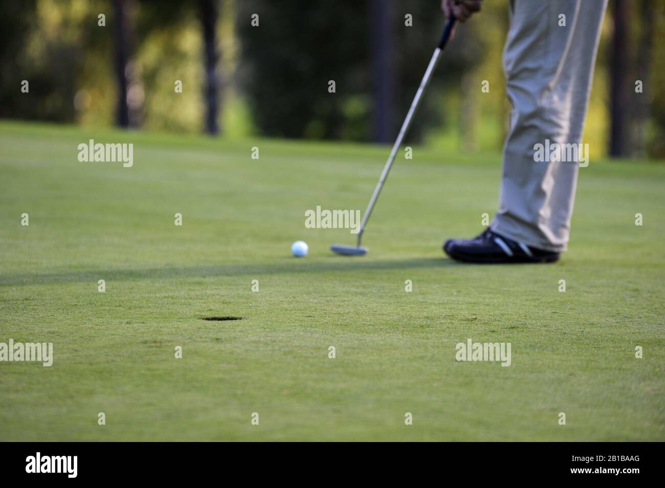 Man putting a golf ball Stock Photo - Alamy